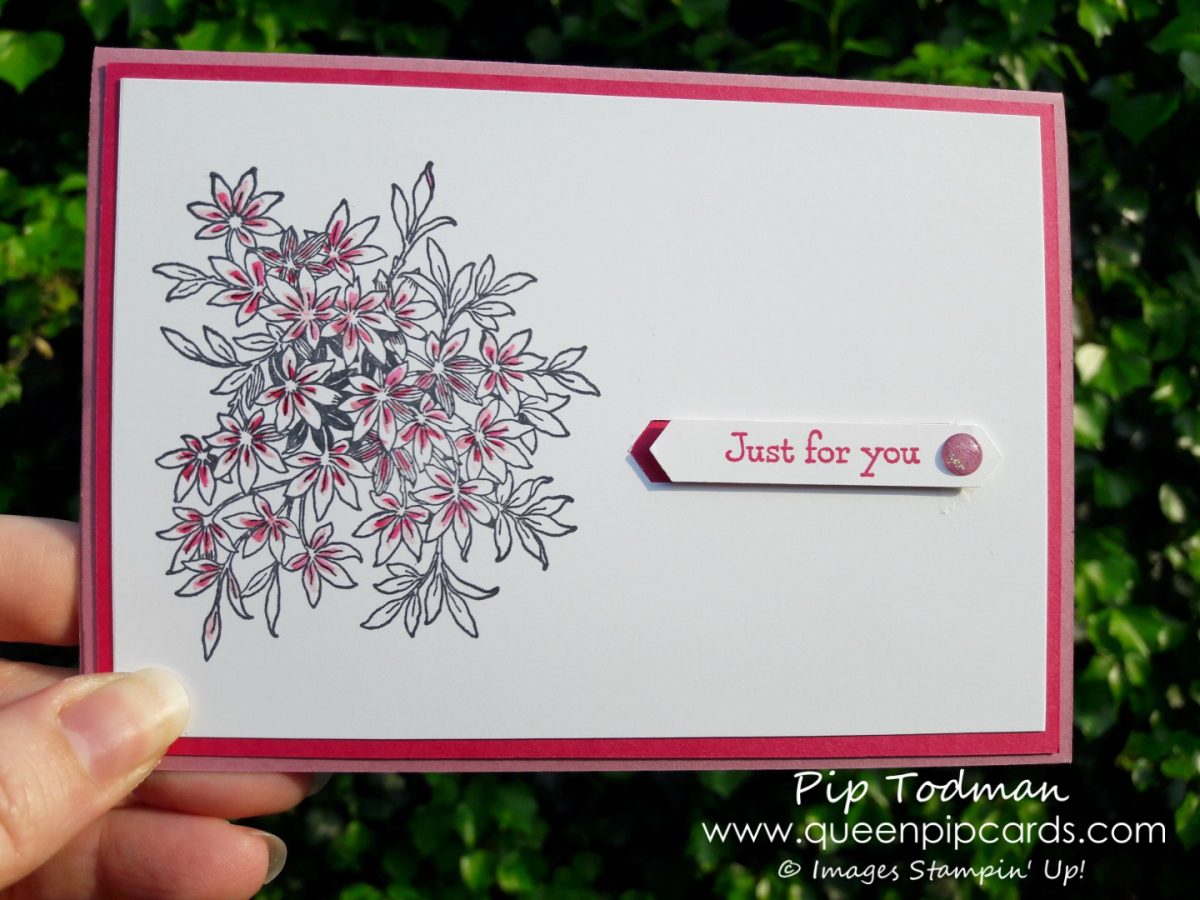 What Inspires My Card Designs? - Queen Pip Cards