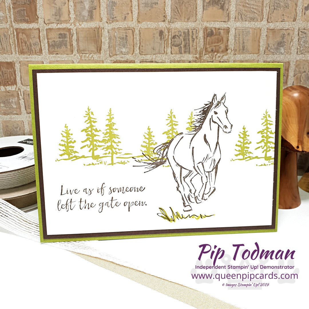 2 Let It Ride Card Ideas For Horse Lovers - Queen Pip Cards