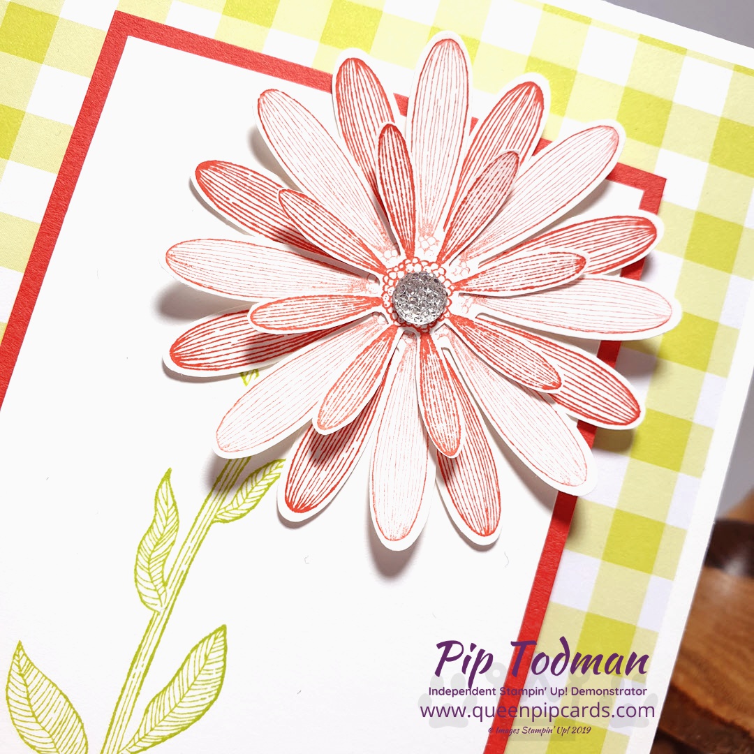 Gingham Gala Meets Daisy Lane - Queen Pip Cards