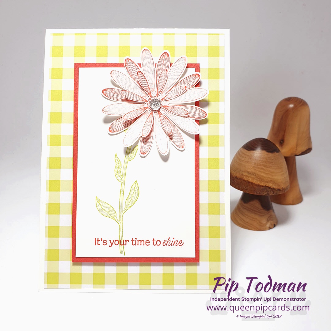 Gingham Gala Meets Daisy Lane - Queen Pip Cards