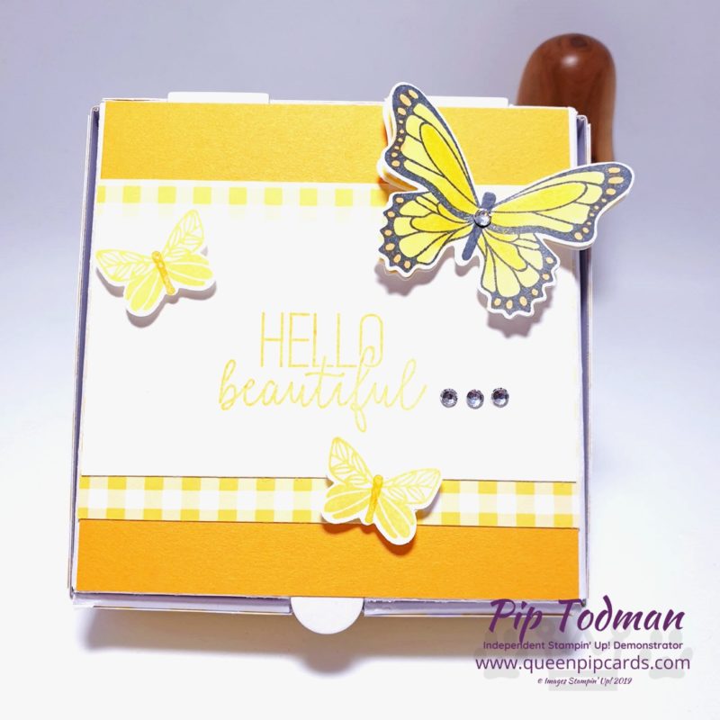 Gingham Gala Butterfly Duet Mini Pizza Boxes - Queen Pip Cards