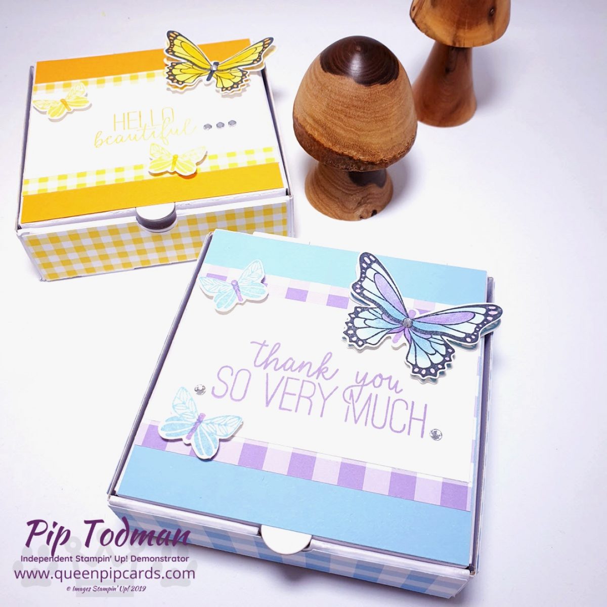 Gingham Gala Butterfly Duet Mini Pizza Boxes - Queen Pip Cards