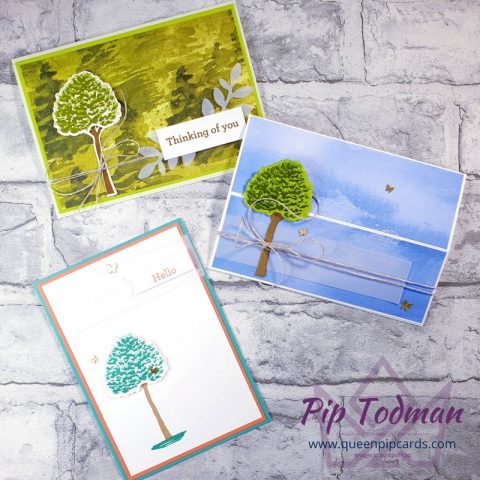 Go From Simple to Fancy Cards - Queen Pip Cards