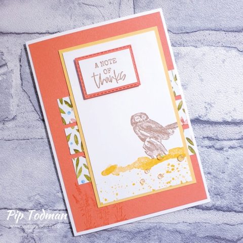 One Layout Many Card Designs - Queen Pip Cards