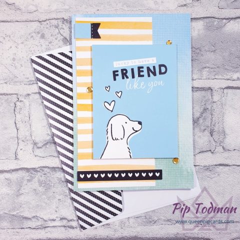 Make A Stepper Card and 20 Other Projects - Queen Pip Cards