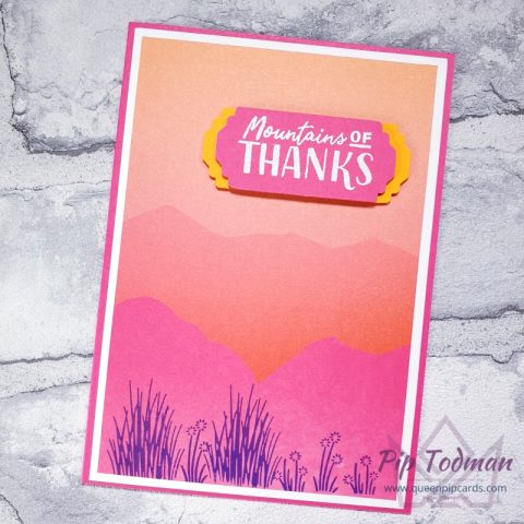 Make A Stepper Card and 20 Other Projects - Queen Pip Cards